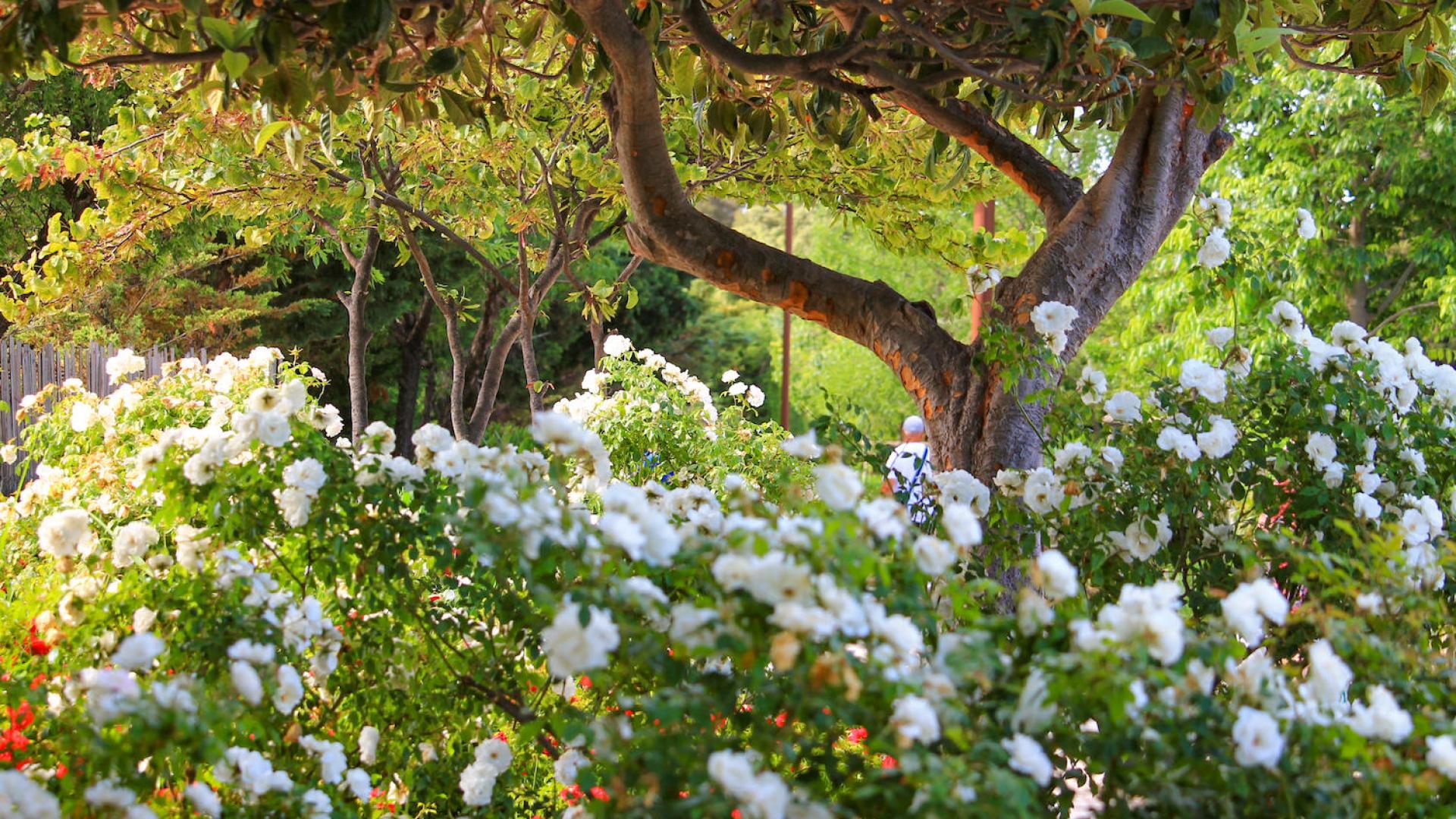 Parc du Mugel (La Ciotat) | Office de Tourisme de La Ciotat
